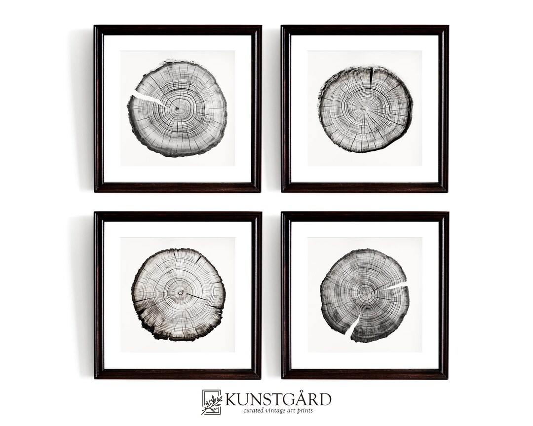 Tree Stump Print SET of 4, Tree Ring Wall Art Monochrome Wood Slice ...
