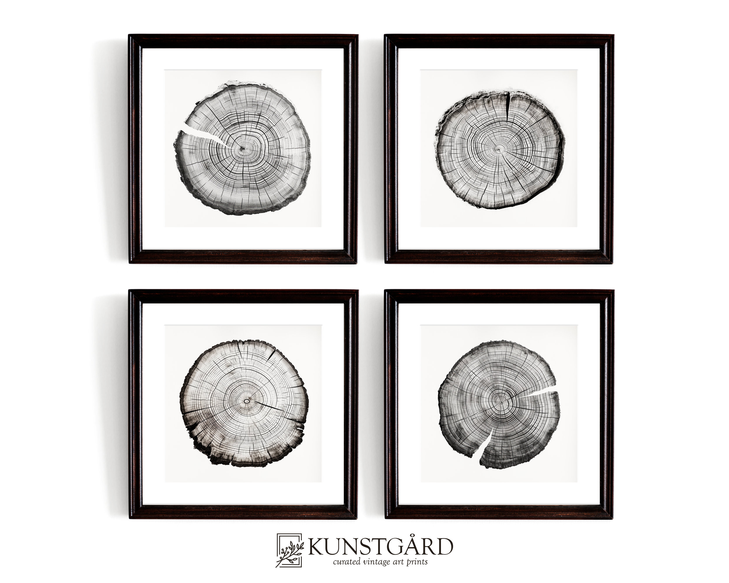 Tree Stump Print Set of 4 Prints Tree Ring Print Anniversary Gift Wood ...