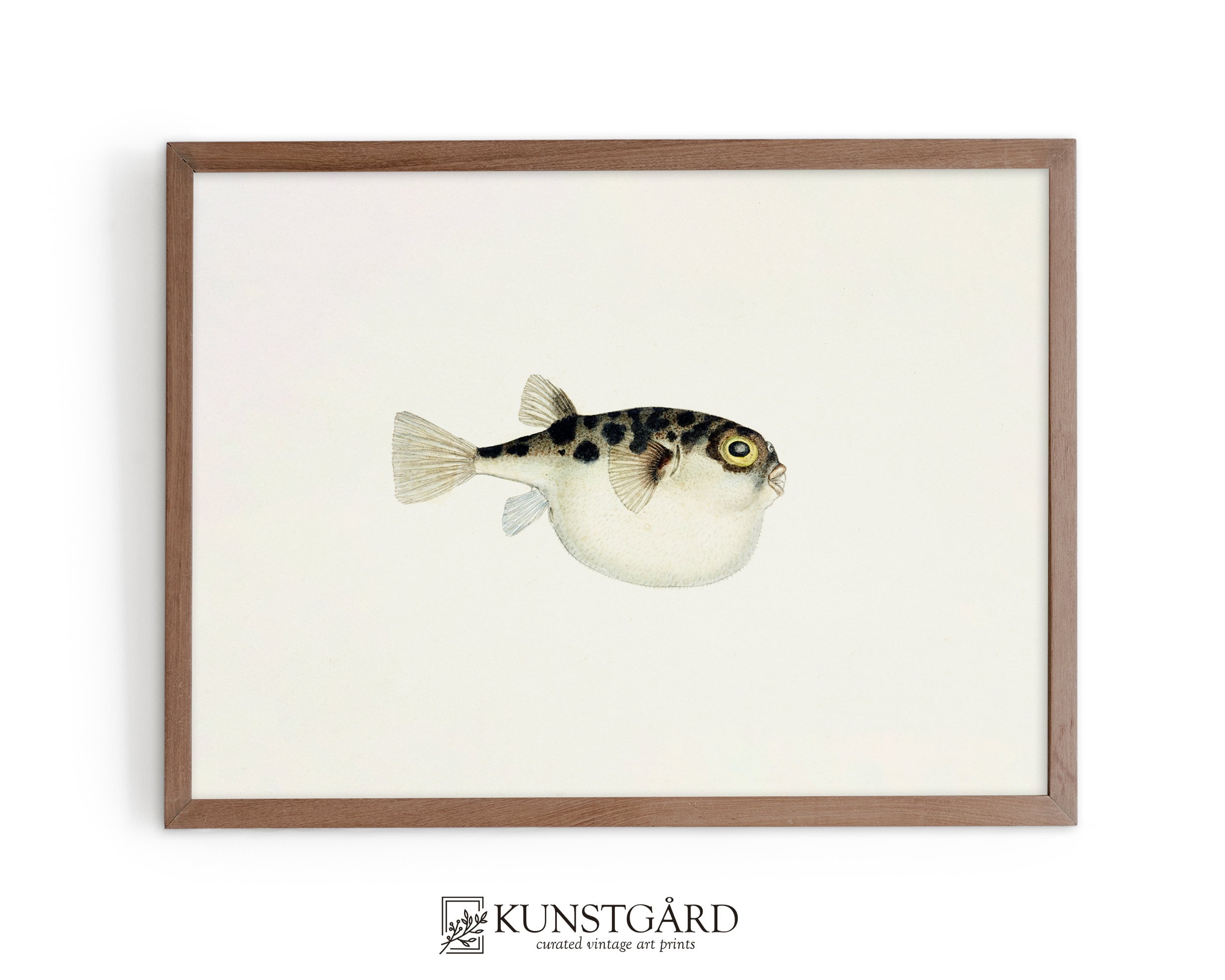 Antique Puffer Fish Painting Beach House Decor Vintage Bathroom Wall ...
