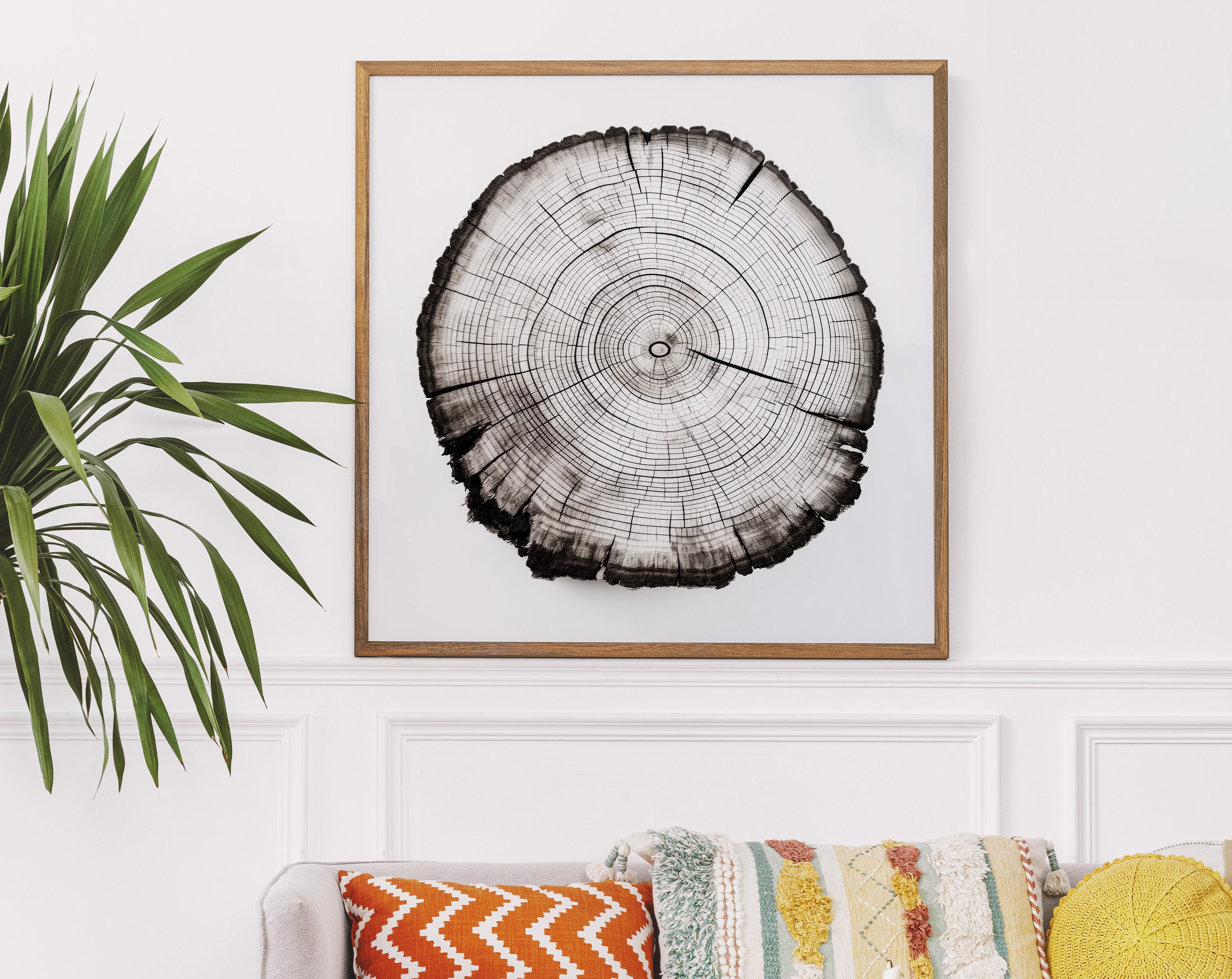 Tree Stump Print Set of 4 Prints Tree Ring Print Anniversary Gift Wood ...
