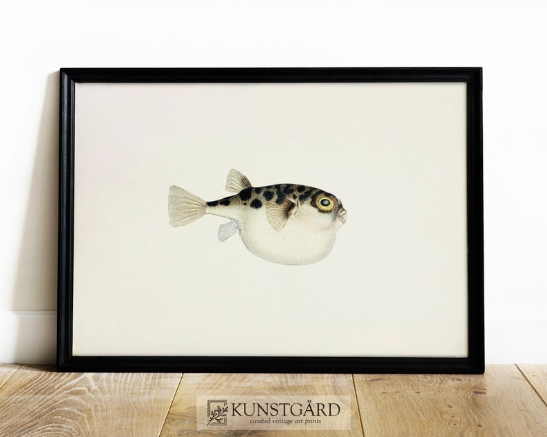 Antique Puffer Fish Painting Beach House Decor Vintage Bathroom Wall ...