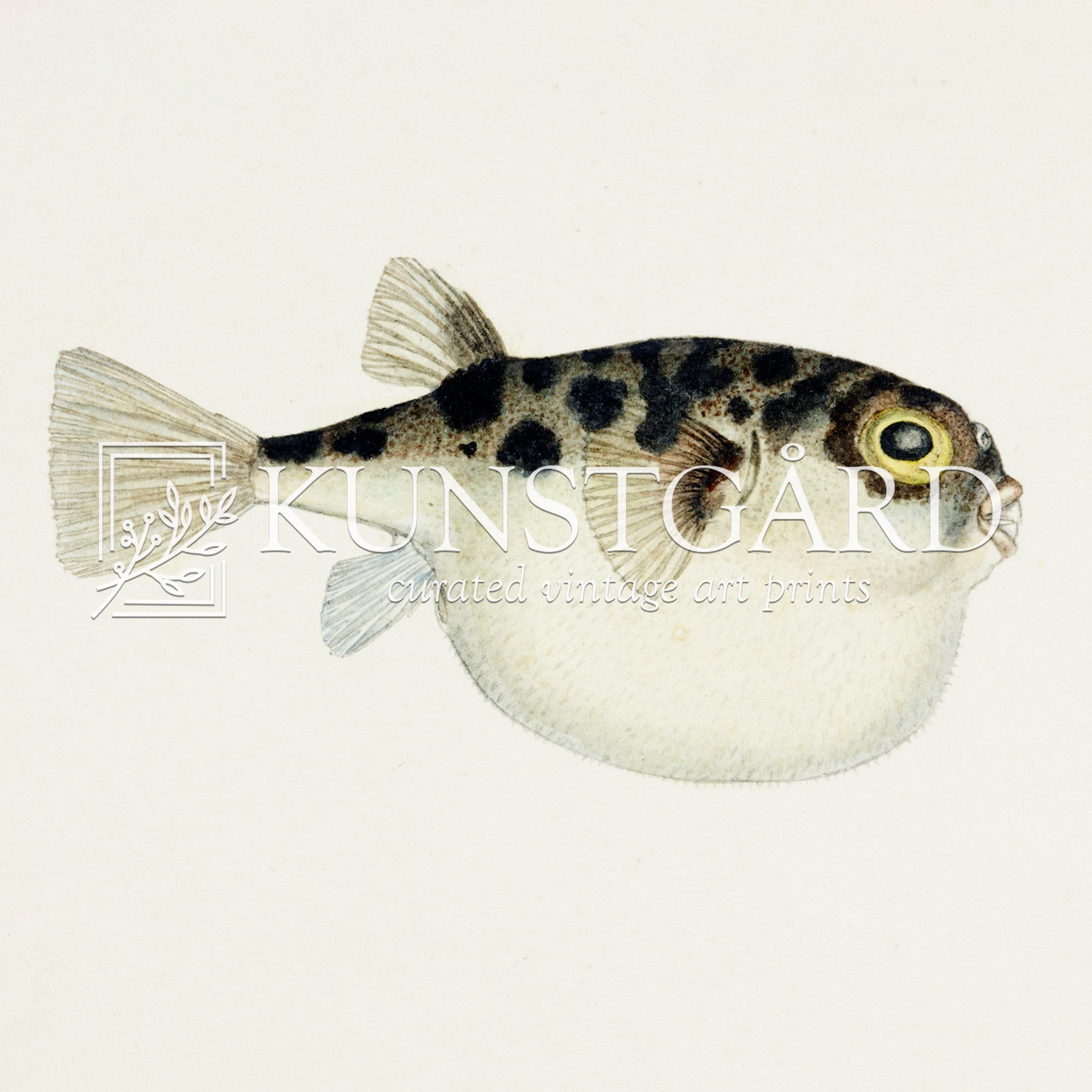 Antique Puffer Fish Painting Beach House Decor Vintage Bathroom Wall ...