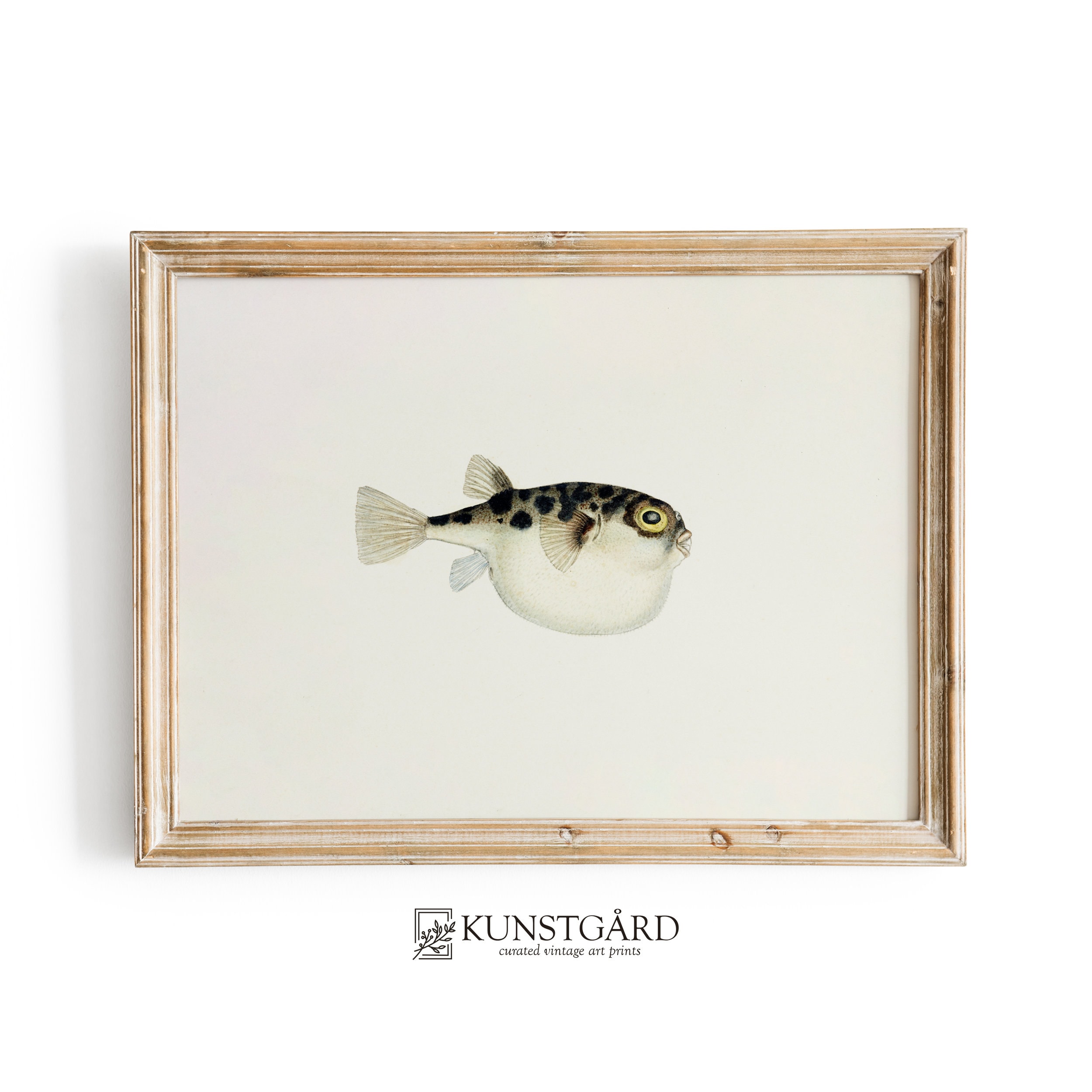 Antique Puffer Fish Painting Beach House Decor Vintage Bathroom Wall ...