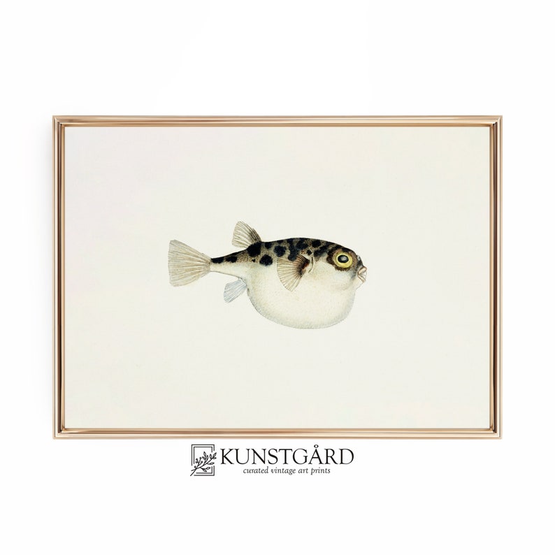 Antique Puffer Fish Painting Beach House Decor Vintage Bathroom Wall ...