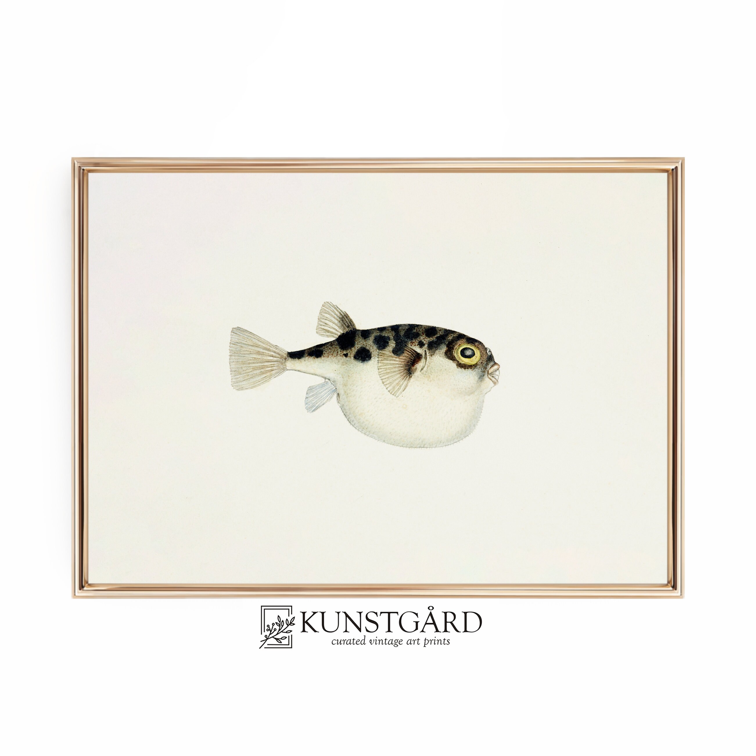 Antique Puffer Fish Painting Beach House Decor Vintage Bathroom Wall ...