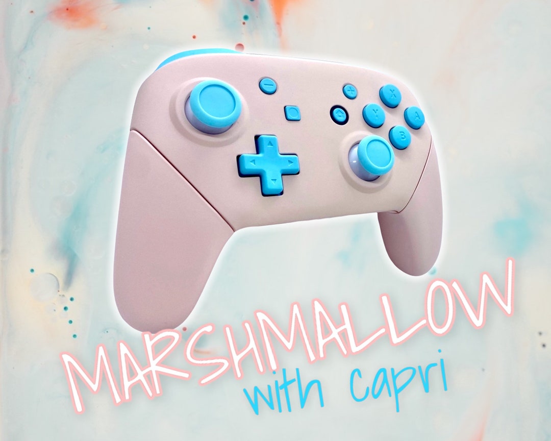 Pink & Blue Custom Nintendo Switch Pro Controller - Etsy