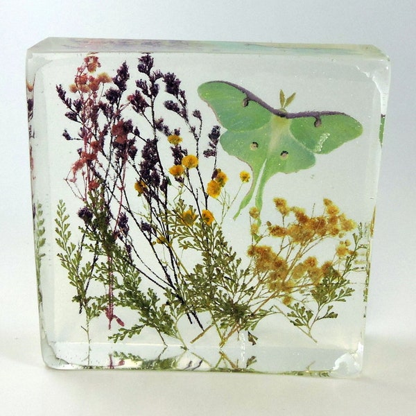 Resin Block - Etsy