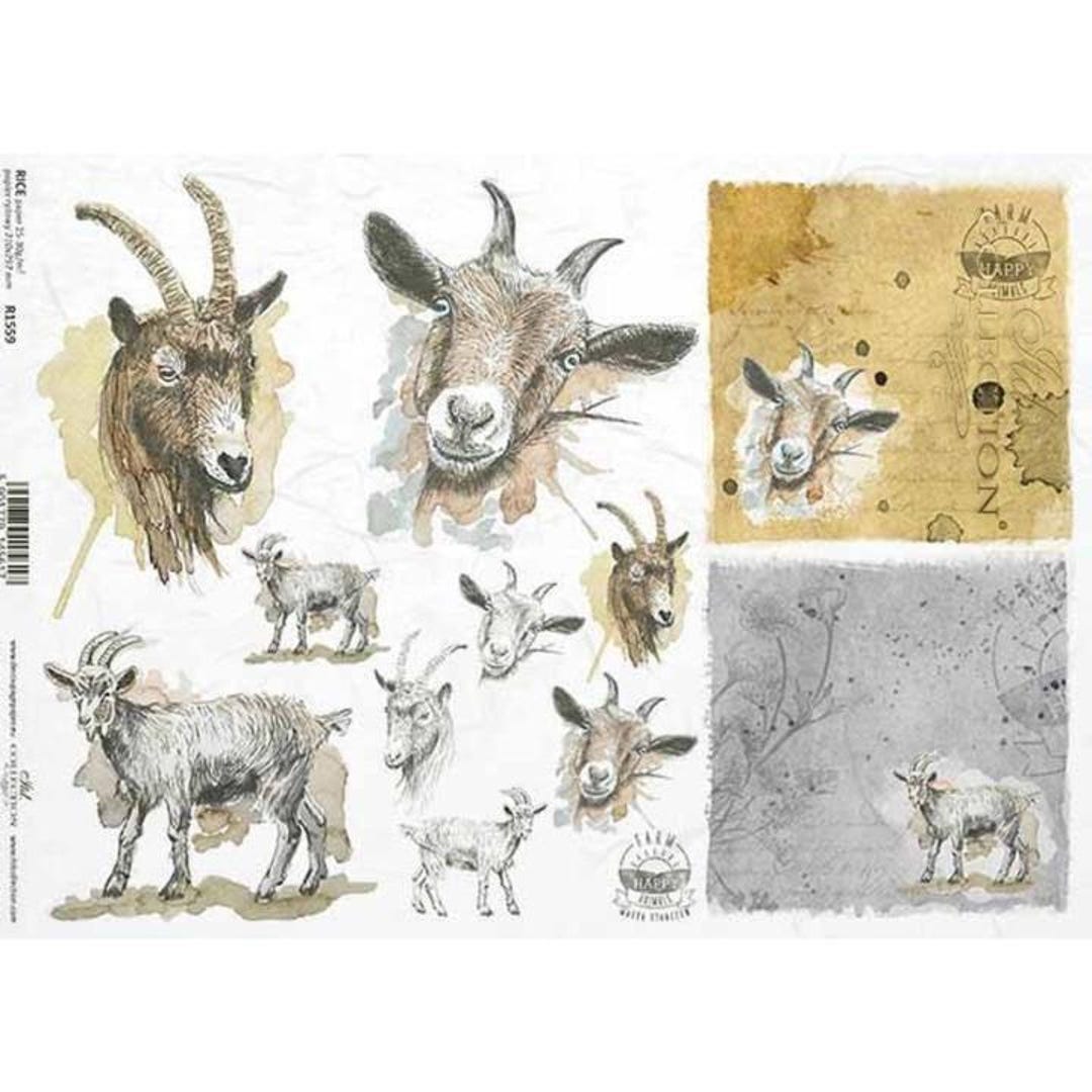 Goat Portraits | Rice Paper Decoupage | ITD R1559 | A4 - Etsy