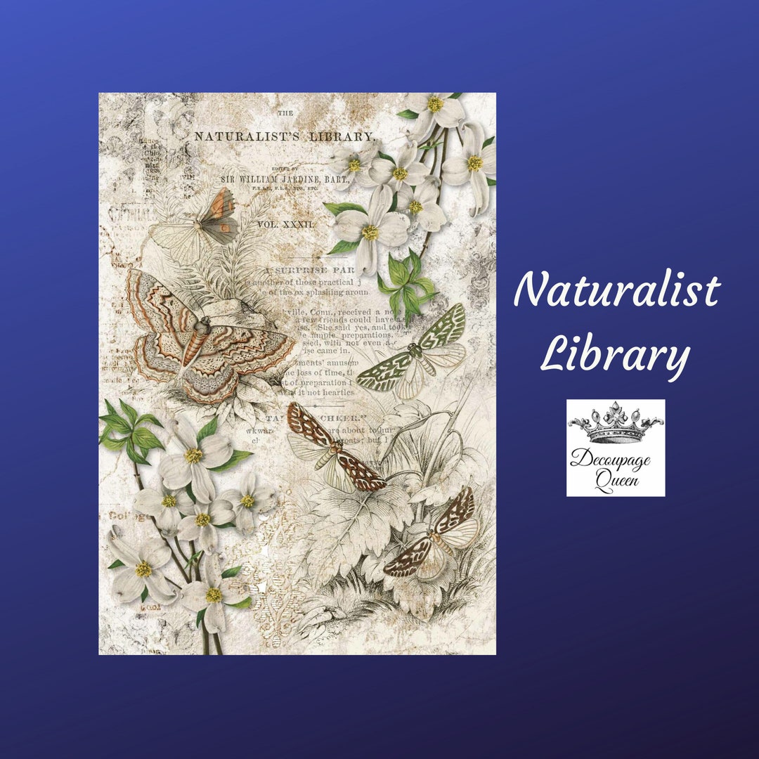 Naturalist Library | Rice Paper Decoupage | Decoupage Queen | 2 Sizes ...