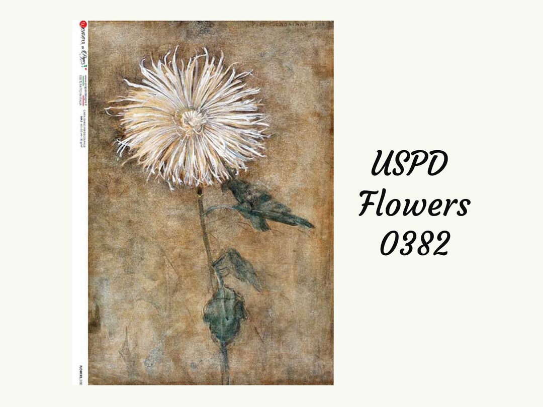 Dandelion Flowers 0382 | Rice Paper Decoupage | US Paper Designs |A4 - Etsy