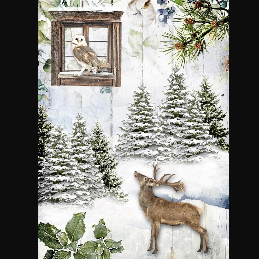 Woodland Creatures | Rice Paper Decoupage | Decoupage Queen | A4 - Etsy