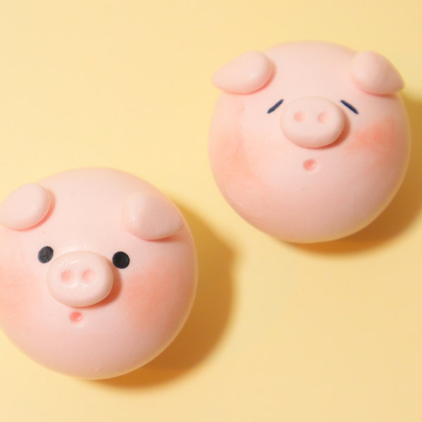 Pig Magnets - Etsy