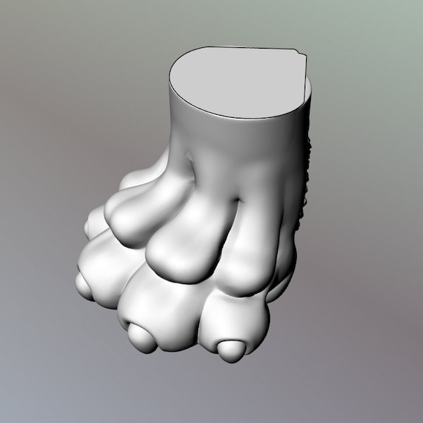 Lion Feet - Etsy