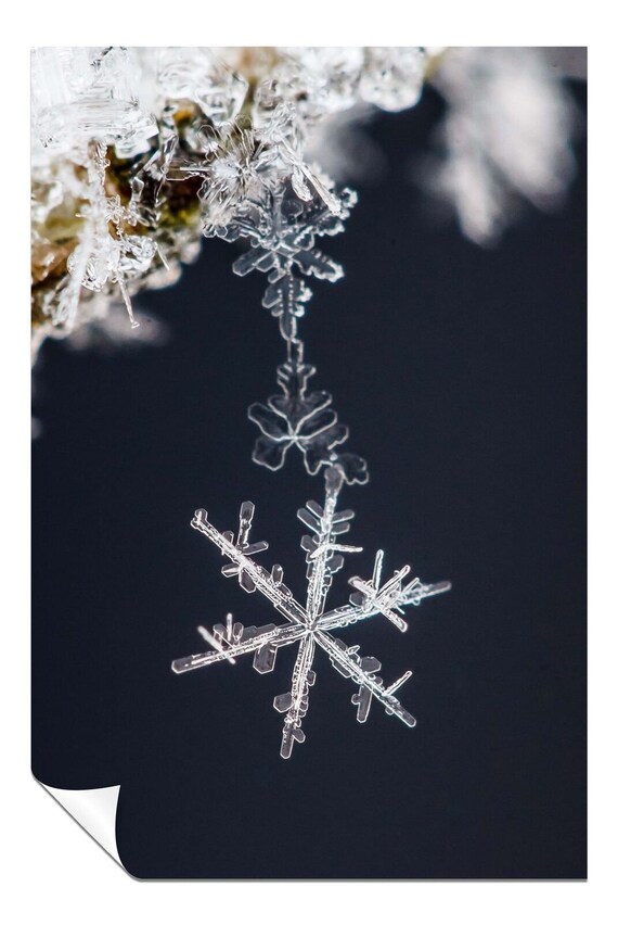 Rime & Snowflake Close up Artistic Poster Wall Art Home Decor - Etsy