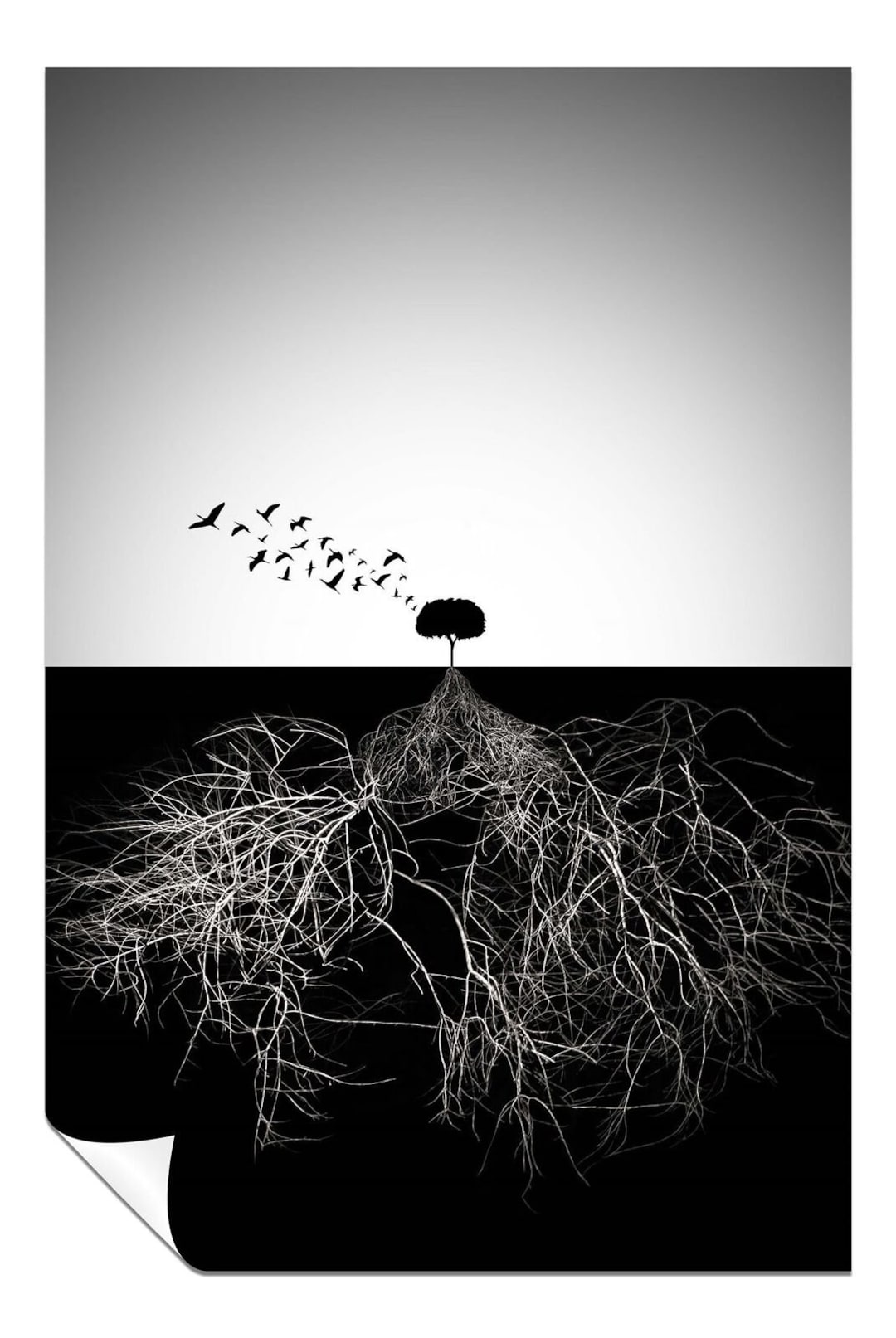 Tree Roots Underground Art