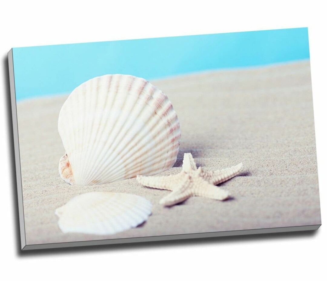 Sea Shell and Starfish on a Beach Canvas Print Wall Art 30x20 A1 - Etsy