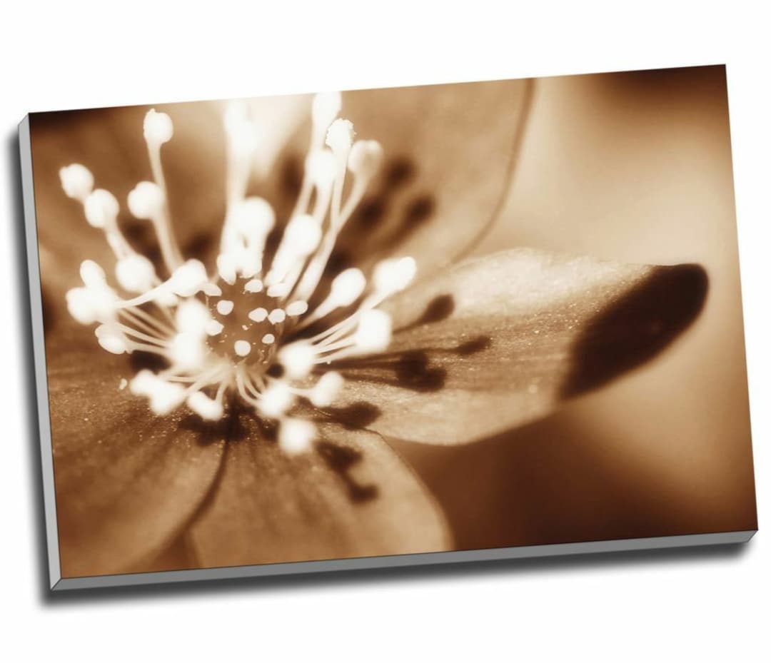 Marron fleur fleur fleur imprimé art mural 30x20 a1 - Etsy France