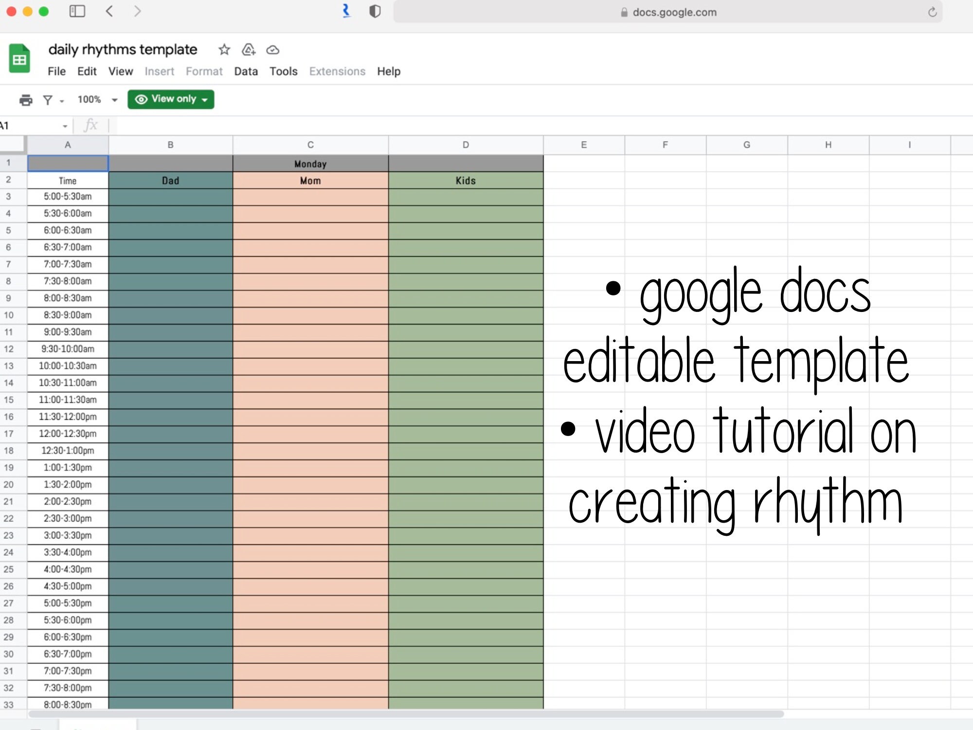 Editable Daily Rhythm Template- Schedule Template - Google Docs - Etsy