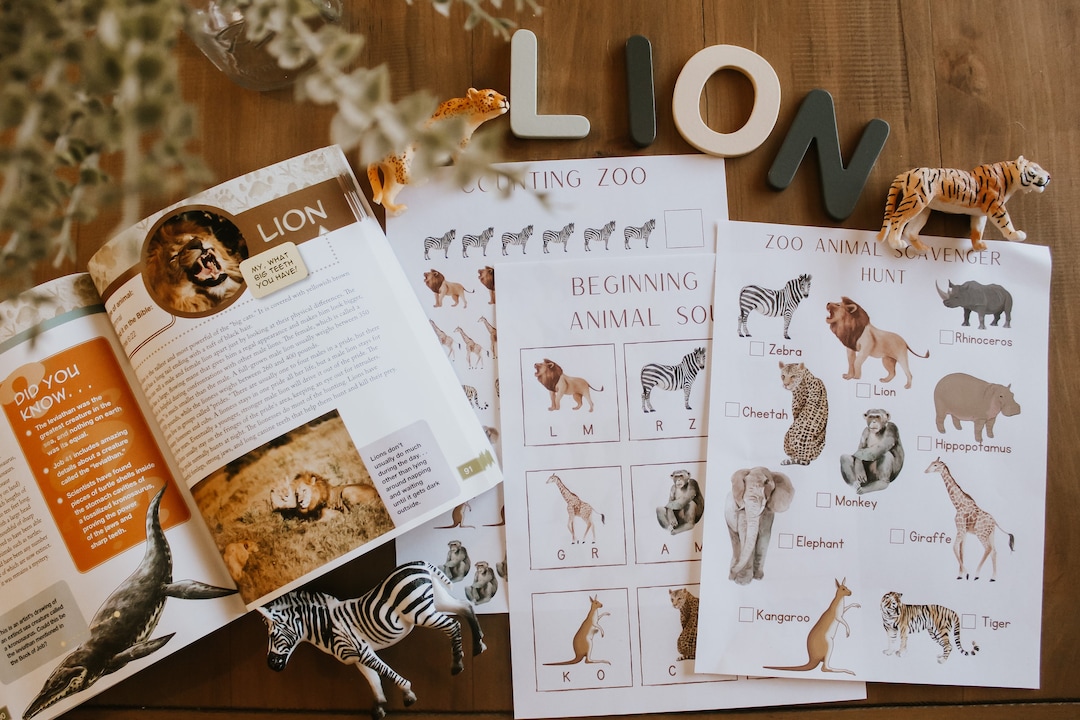 ZOO Explorers Pack | Homeschool | Field Trip | Zoo Animals Abcs | Zoo ...