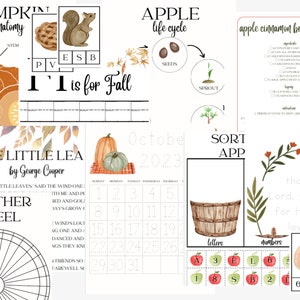 Fall Activity 50page Bundle | Homeschool Pre-k Kinder Workbook Binder ...
