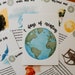 Creation Unit- in the Beginning | Genesis Bible Study for Kids | Sunday ...