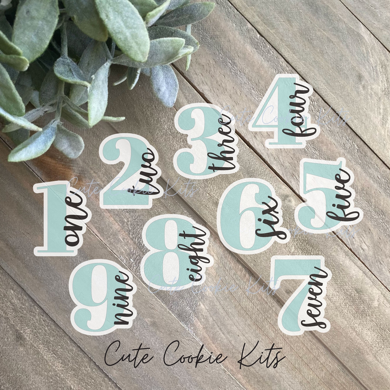 Single Number Cookie Cutters Classic, Script Font Single Digit Numbers ...