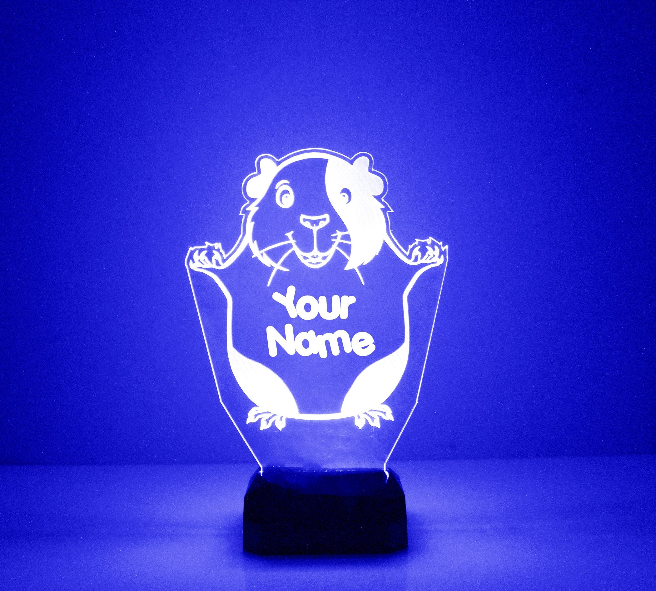 Hamster Light Up Custom Engraved Night Light Personalized - Etsy