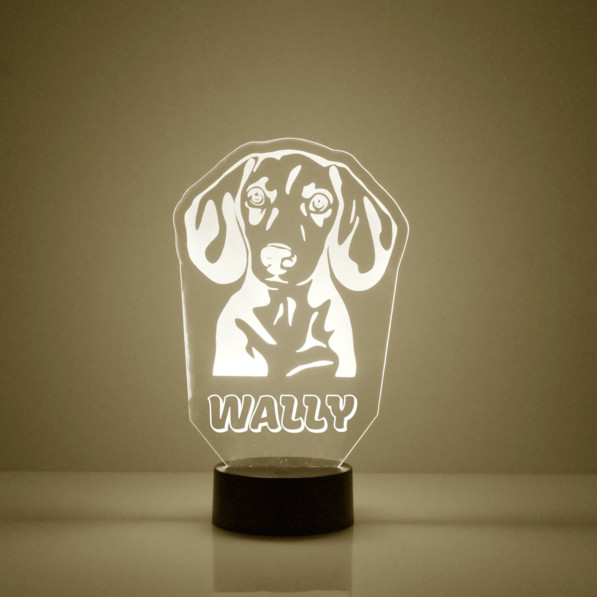 Dachshund Dog Acrylic Light up Custom Engraved Night Light - Etsy