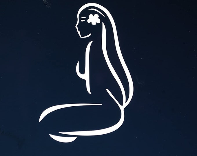 Aloha Aina Van Diecut Sticker - Etsy