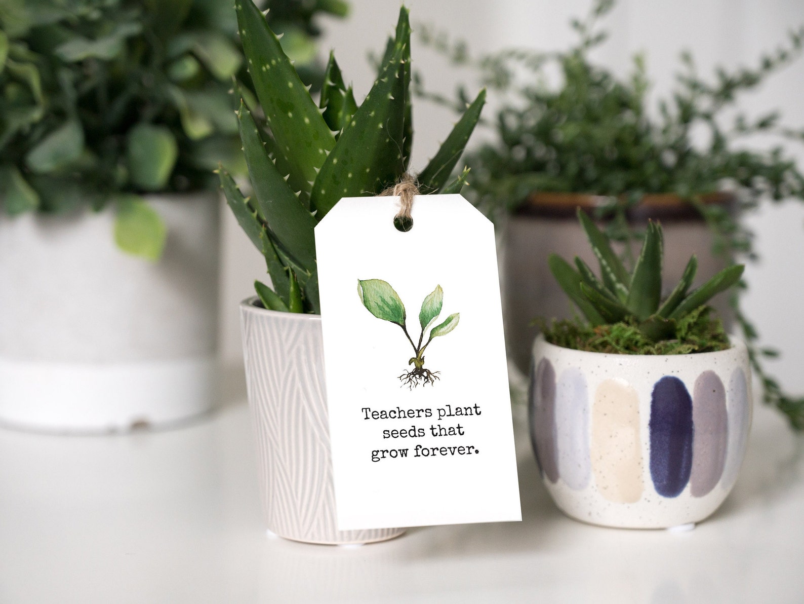 Teachers Plant Seeds Gift Tag | Teacher Appreciation (PDF) - Etsy