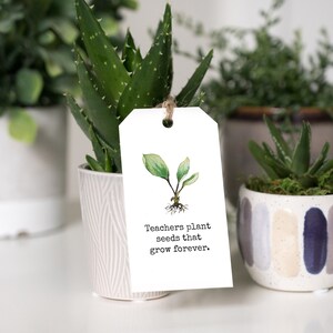 Teachers Plant Seeds That Grow Forever, Teacher Tag, Teacher Thank You ...