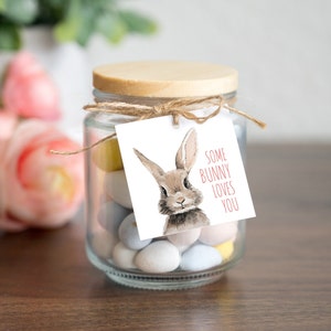 Some Bunny Loves You | Printable Valentine Tag | Printable Easter Tag ...