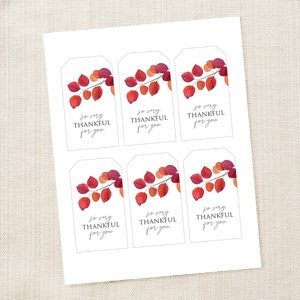 Thank You Gift Tag, Thanksgiving Tag, Printable Fall Tag, Thankful for ...