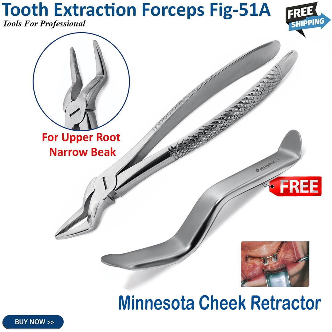 Handcrafted Molar Tooth Extraction Forceps Fig 51A With Minnesota ...