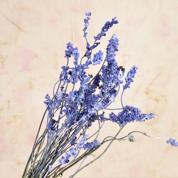 Blue Dried Flowers - Etsy