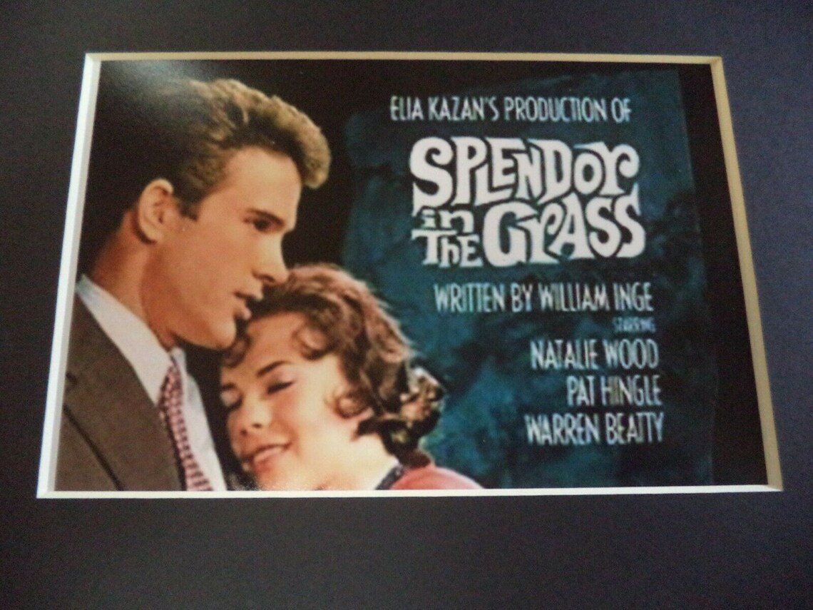 NATALIE WOOD 1938 1981 Autograph Mounted Display, Hand Signed on a 1960 ...