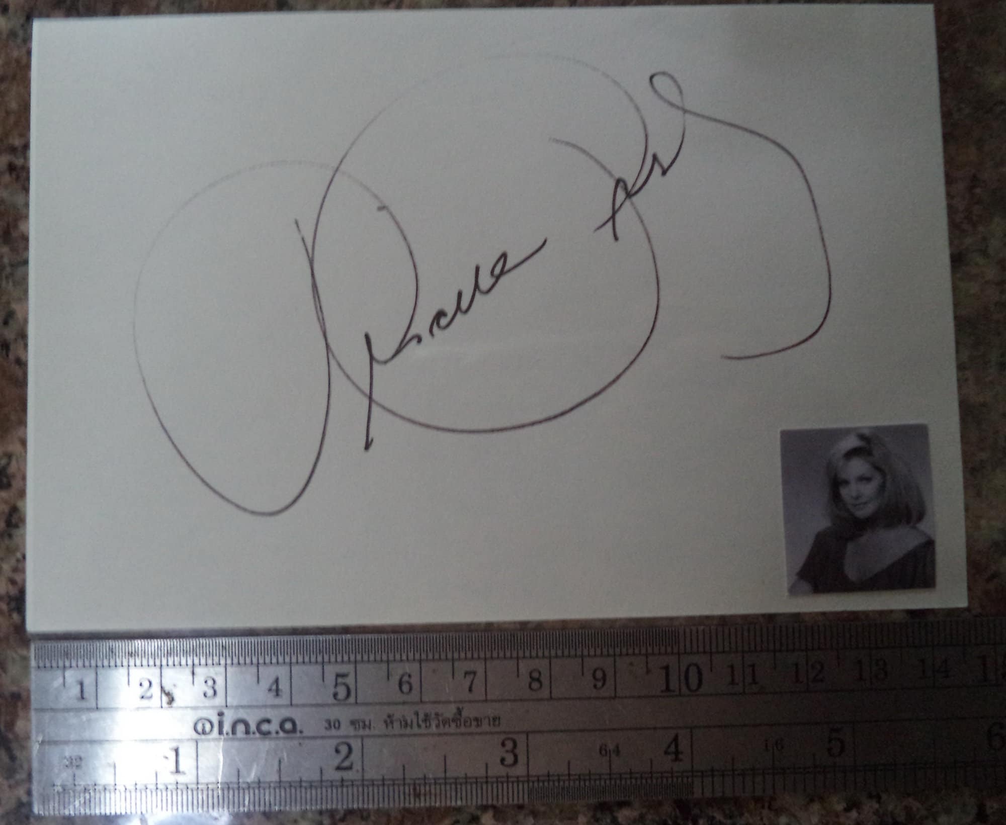 PRISCILLA PRESLEY Autograph, Hand Signed on Album Page - Ex Wife of ELVIS - Etsy