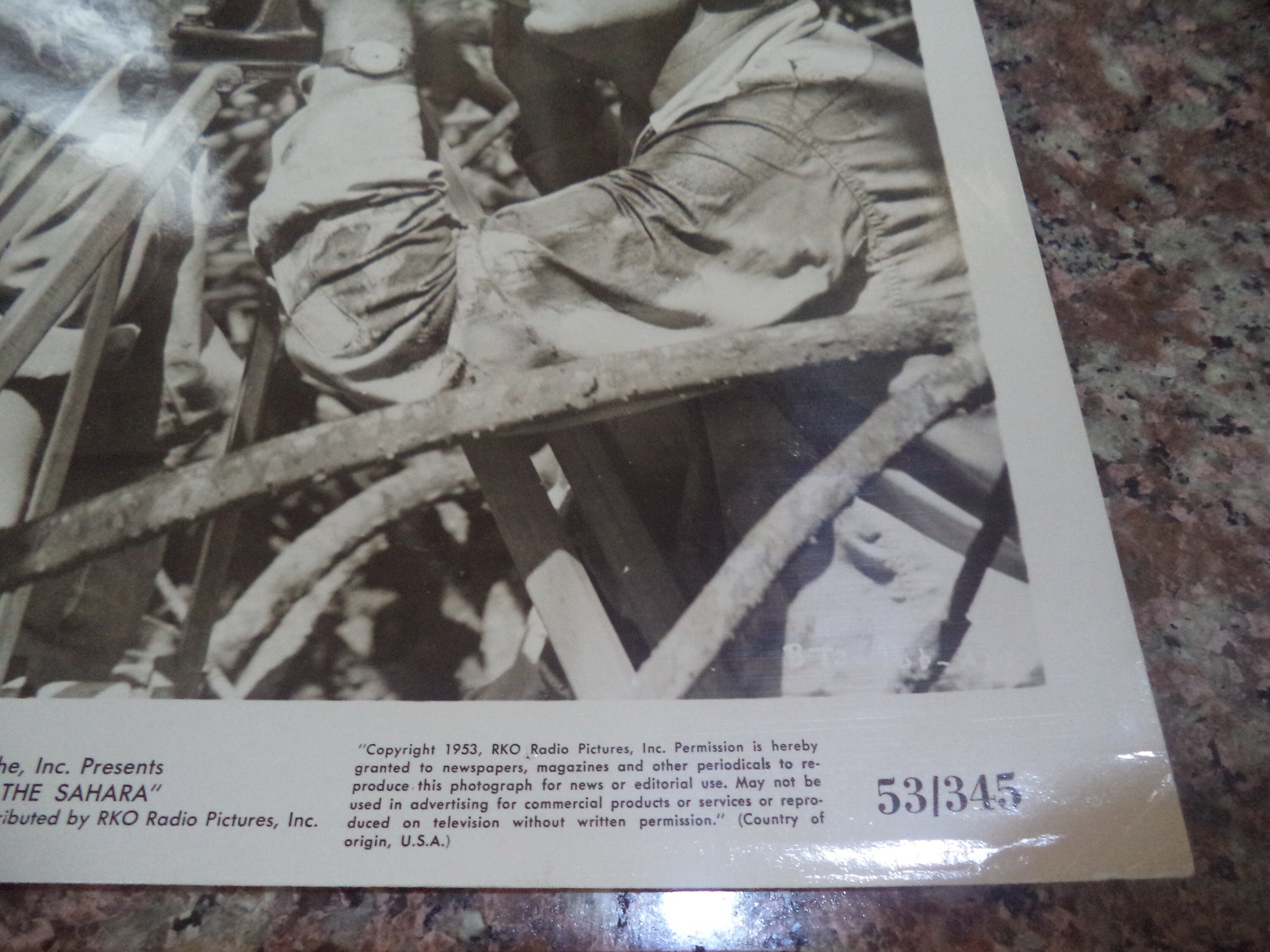 ARMAND and MICHAELA DENIS 1950s Rare Press Photos Wildlife Documentary ...