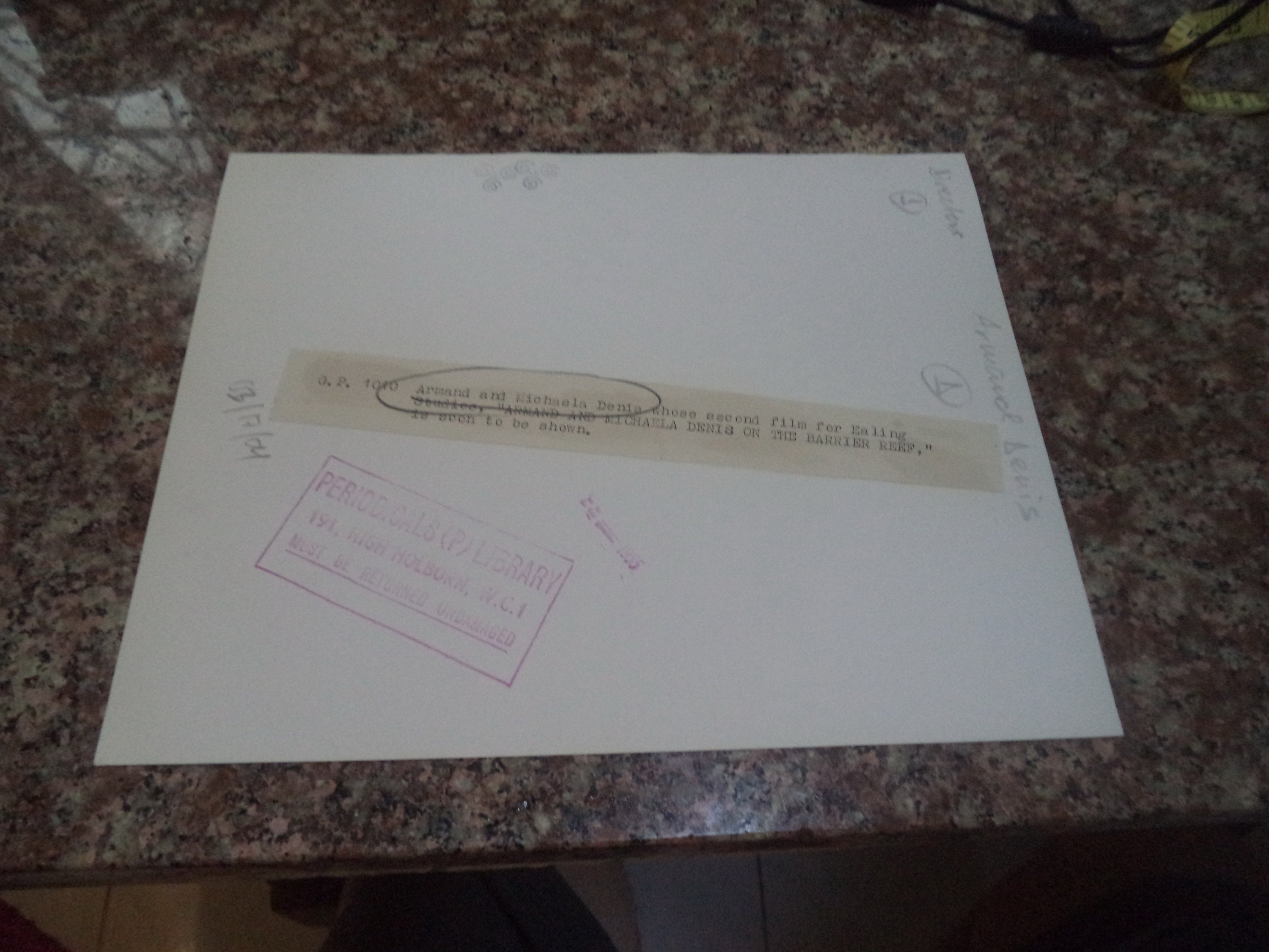 ARMAND and MICHAELA DENIS 1950s Rare Press Photos Wildlife Documentary ...