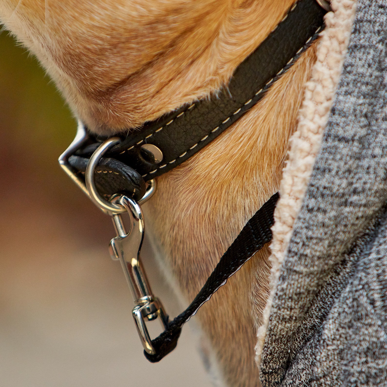 1/2 Inch Swivel Snap Hooks | Dog Leash Lead Hardware | Snap Hooks Bolt ...