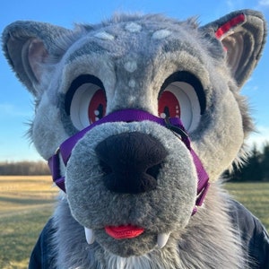 Nylon Fursuit Muzzle Cosplay Accessories - Etsy