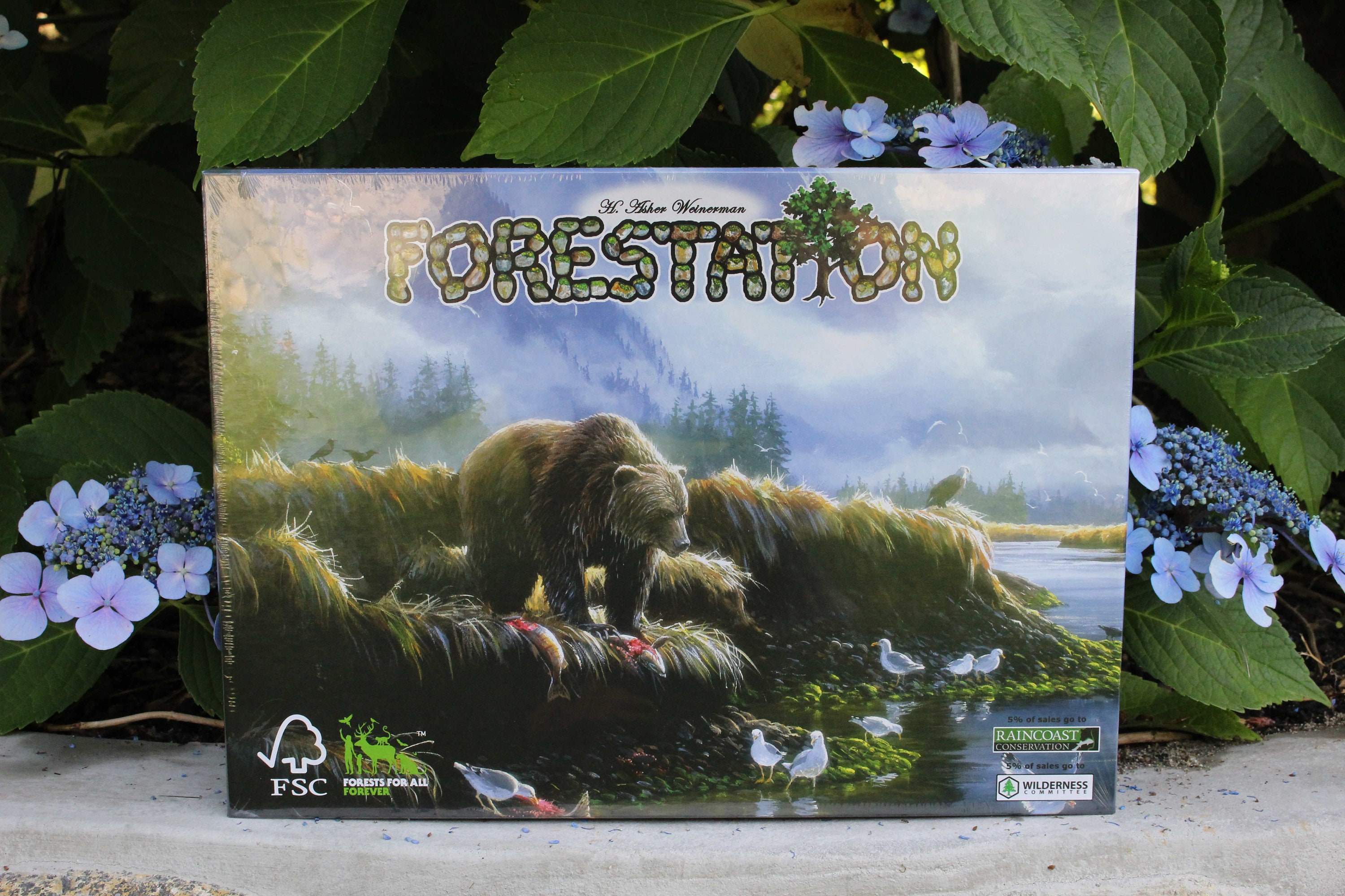Forestation Board Game Use Strategy and Cunning to Build a Forest Full ...