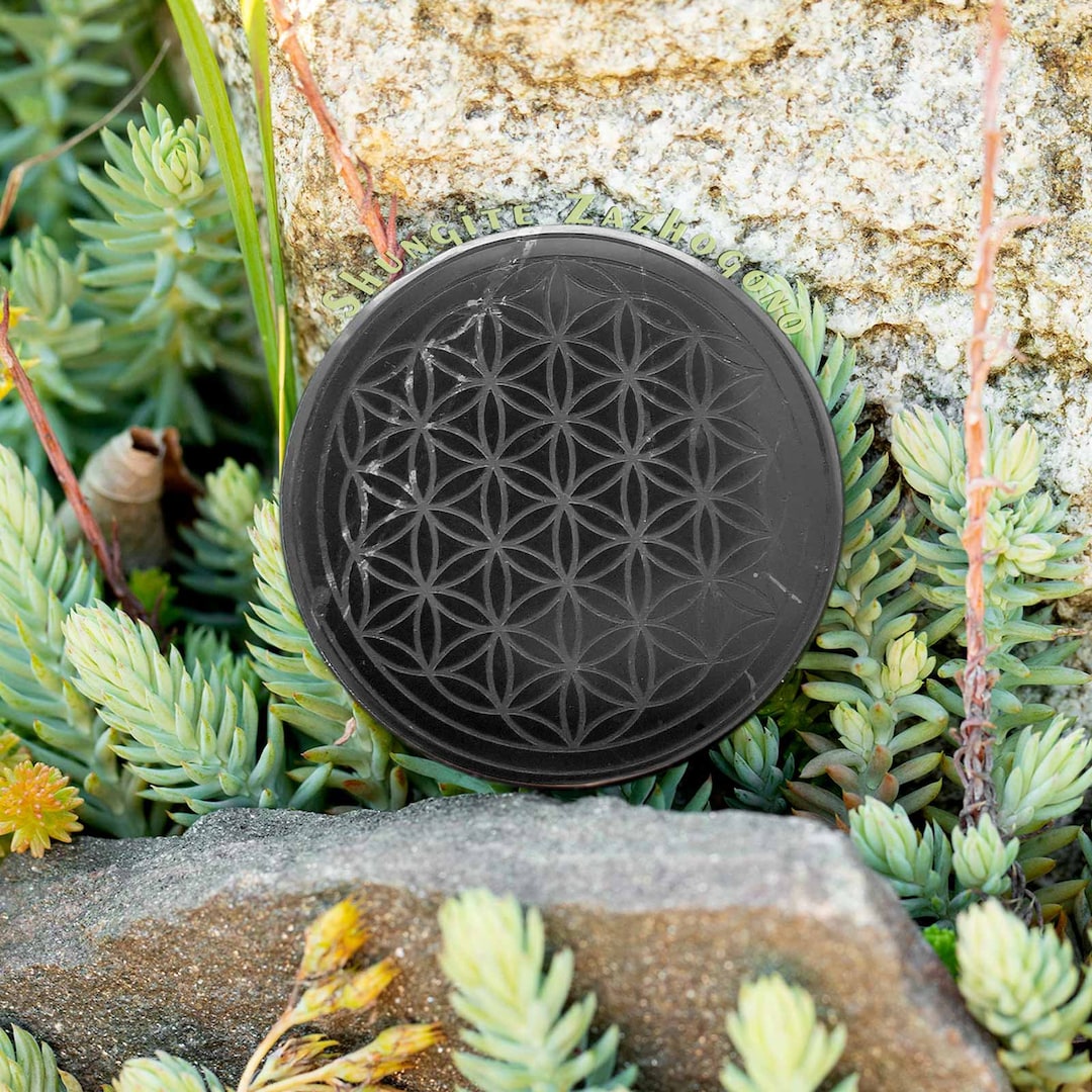 Shungite for Phone - Round Plate 1.2 Inches / 3cm - EMF Protection ...