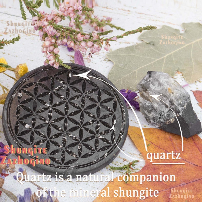 Shungite Plate - Big Size - 2 - 2.8 Inches / 5 - 7cm Engraved Natural ...