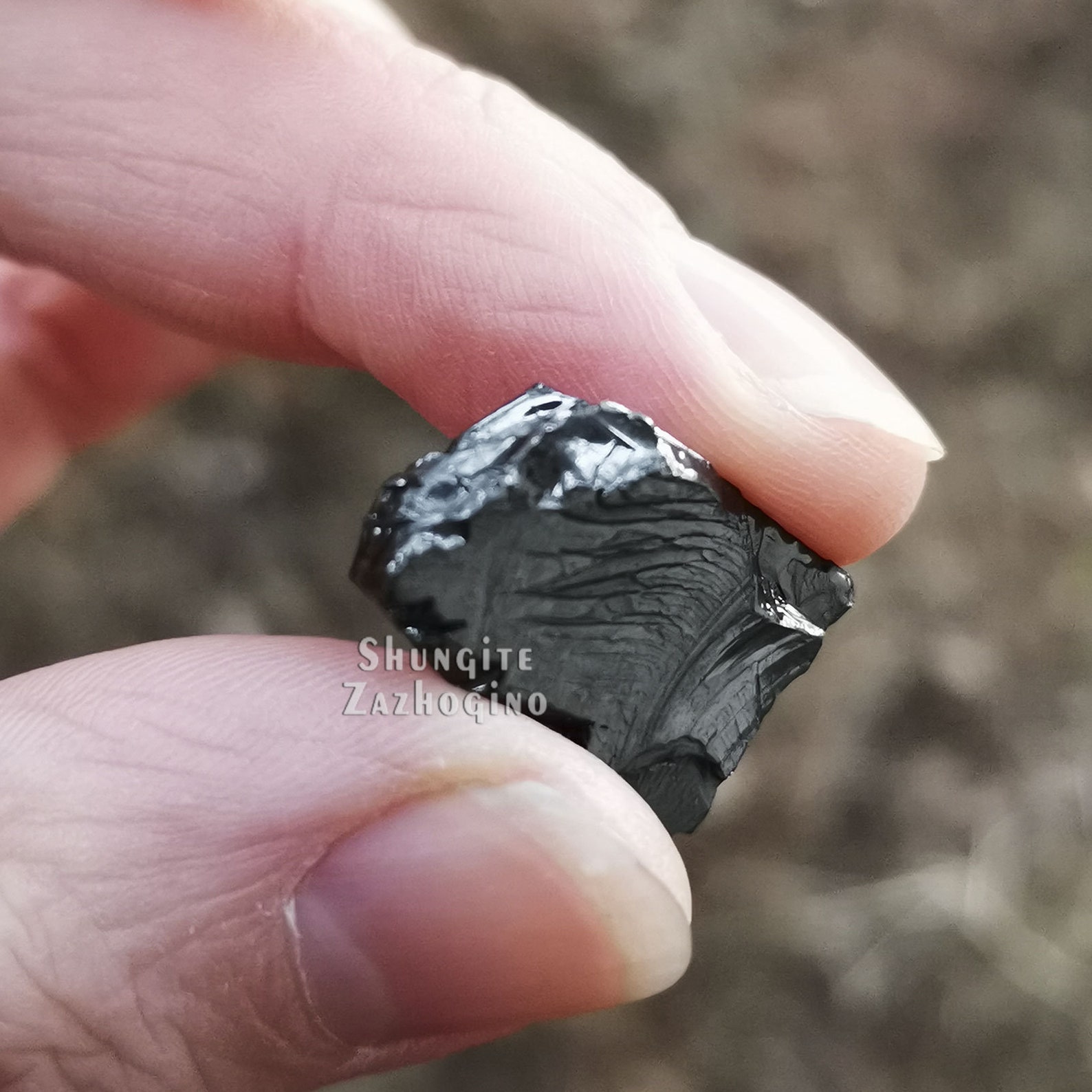 Elite Shungite Stone Type 1 Shungite Mineral One Piece 1-2 - Etsy