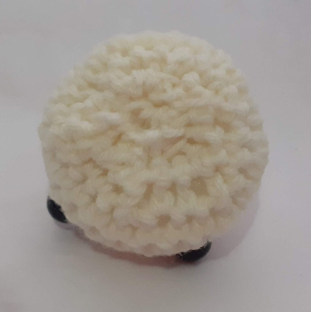 FREE Pattern Sphere and Puff Stitch Blanket PDF Beginner - Etsy Canada