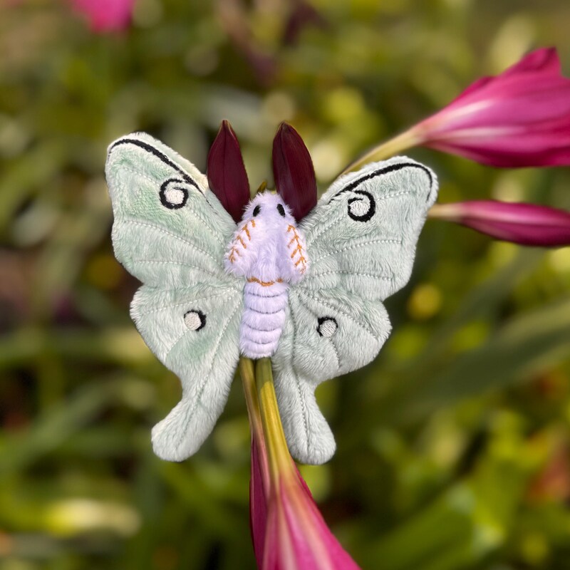 Moth Plush - Etsy