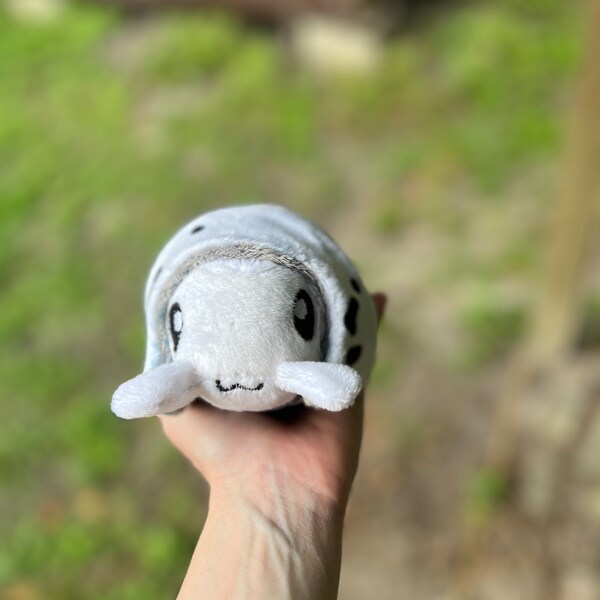 Isopod Plush - Etsy