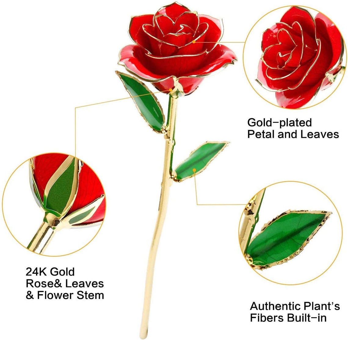 Gold Dipped Rose, 24k Gold Rose,long Stem 24k Gold Lasted Real Roses ...