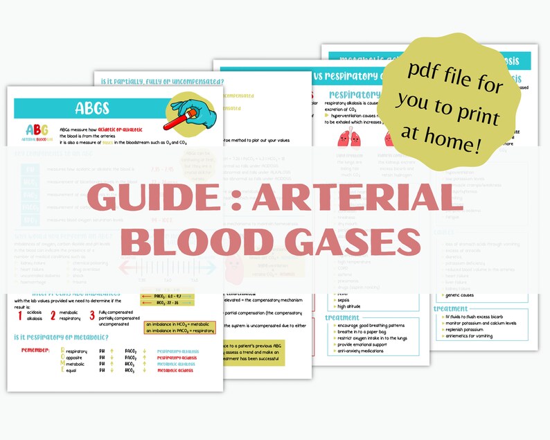 PDF Arterial Blood Gases abgs Guide - Etsy Australia